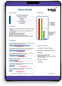 Indigo Assessment | Career Counseling Assessment | Indigo Education Co.