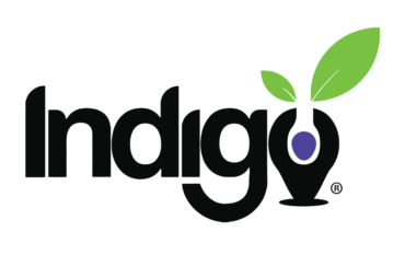 Basics: DISC - Indigo Education Company