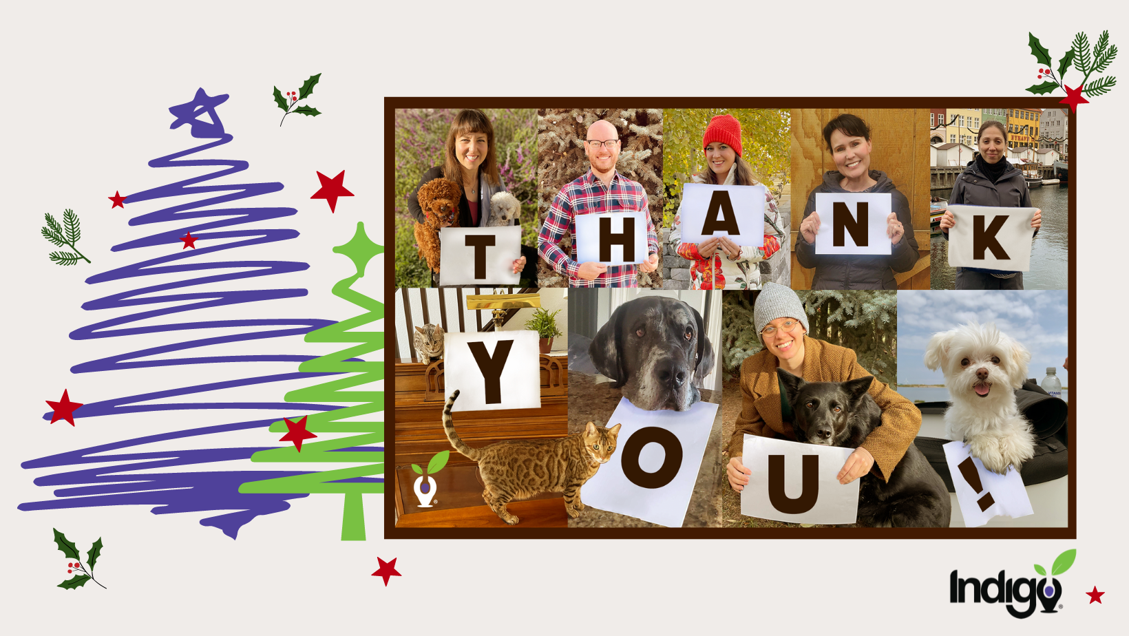 Indigo Assessment Info Archives - Indigo Education Company