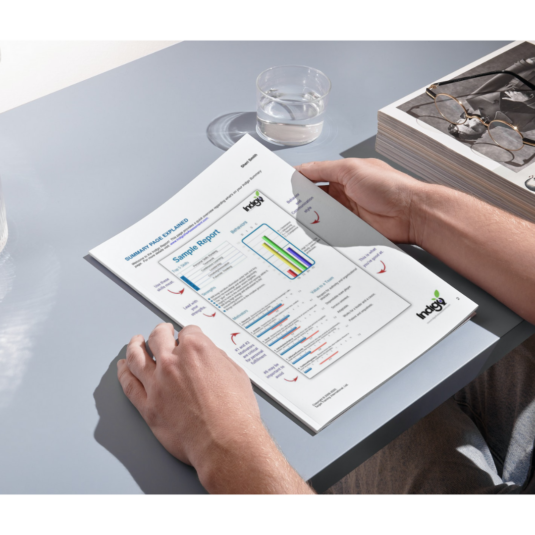 Indigo Assessment | Career Counseling Assessment | Indigo Education Co.