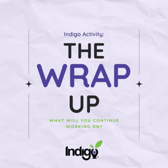 Activity: The Wrap Up - Indigo Education Company