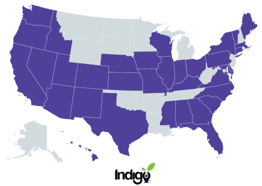 Home Page - Indigo Education Company